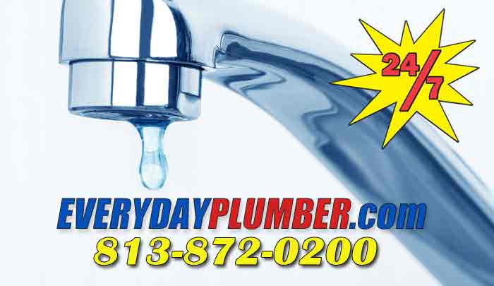 Citrus Park Plumbers | 24 Hour Plumbing Services